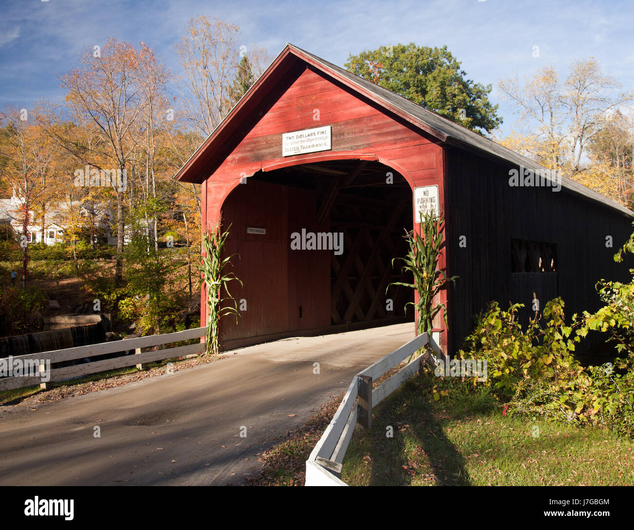 bridge covered road path way street fall autumn historical tree trees ...