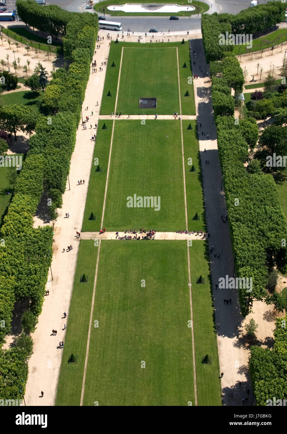 humans human beings people folk persons human human being tree trees ...