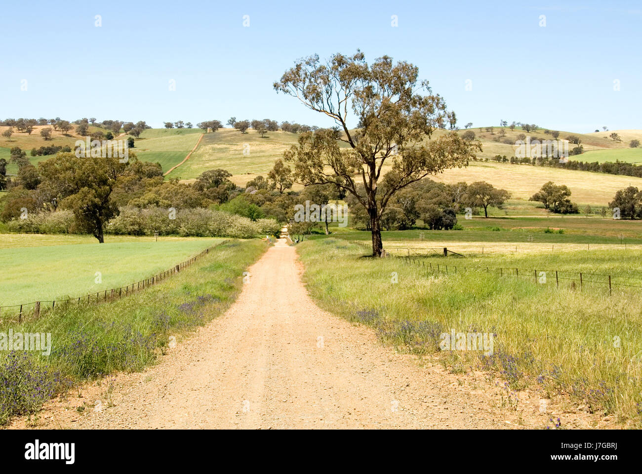 blue travel colour tree trees horizon agriculture farming field summer ...