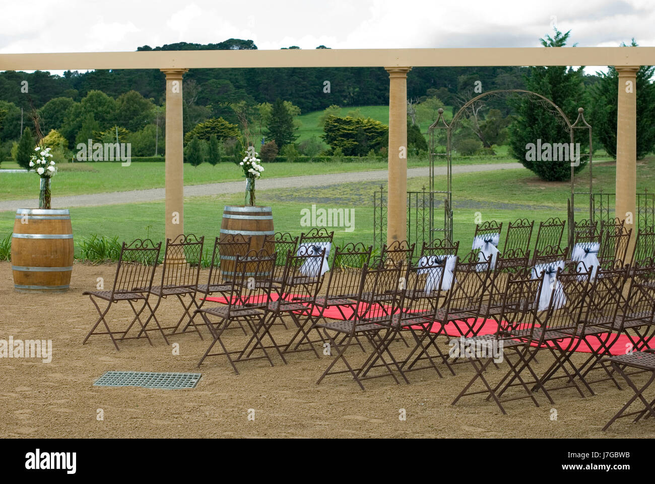 tree trees wedding marriage marriage ceremony wedding ceremony life ...