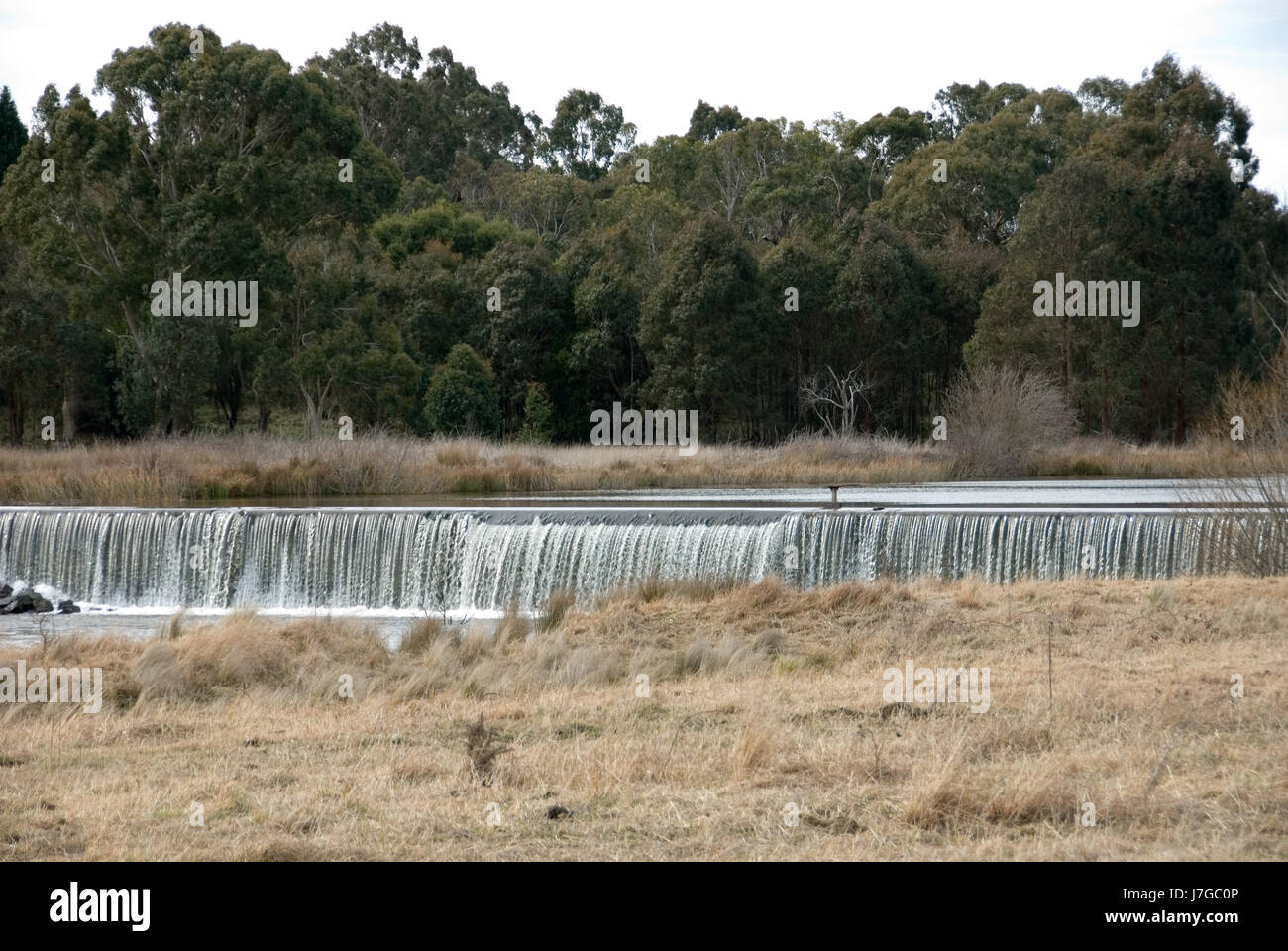 tree trees flow bushes australia waterfall bush dam vegetation ...