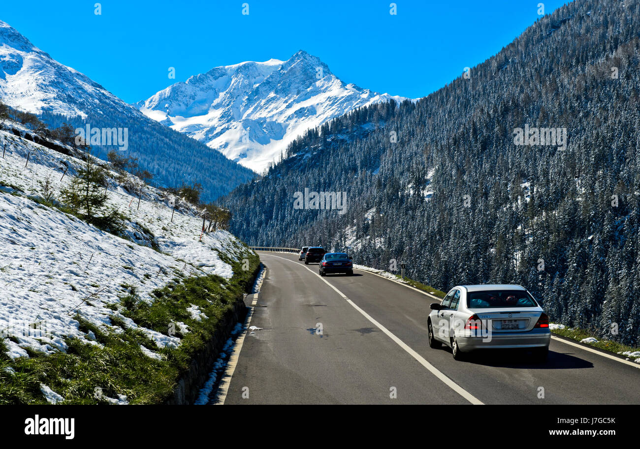 Grosser sankt bernhard hi-res stock photography and images - Alamy