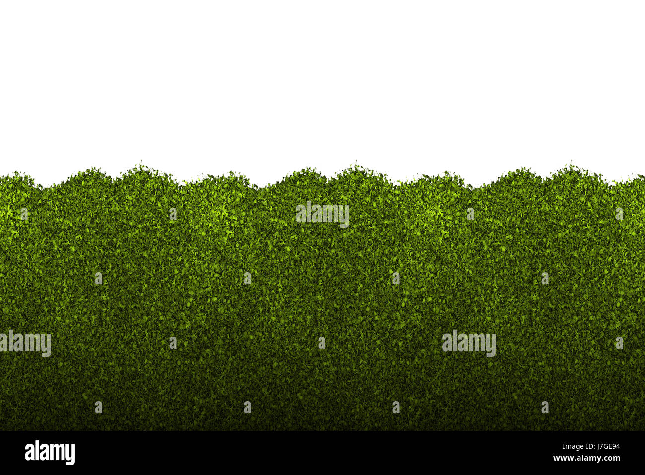 model design project concept plan draft garden leaves hedge barrier ...