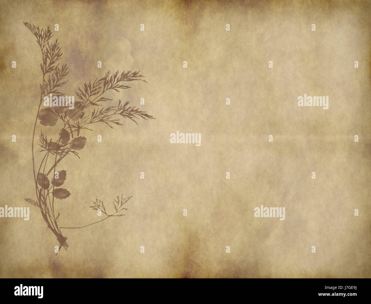 antique rough vintage abstract worn old-fashioned outdated ...