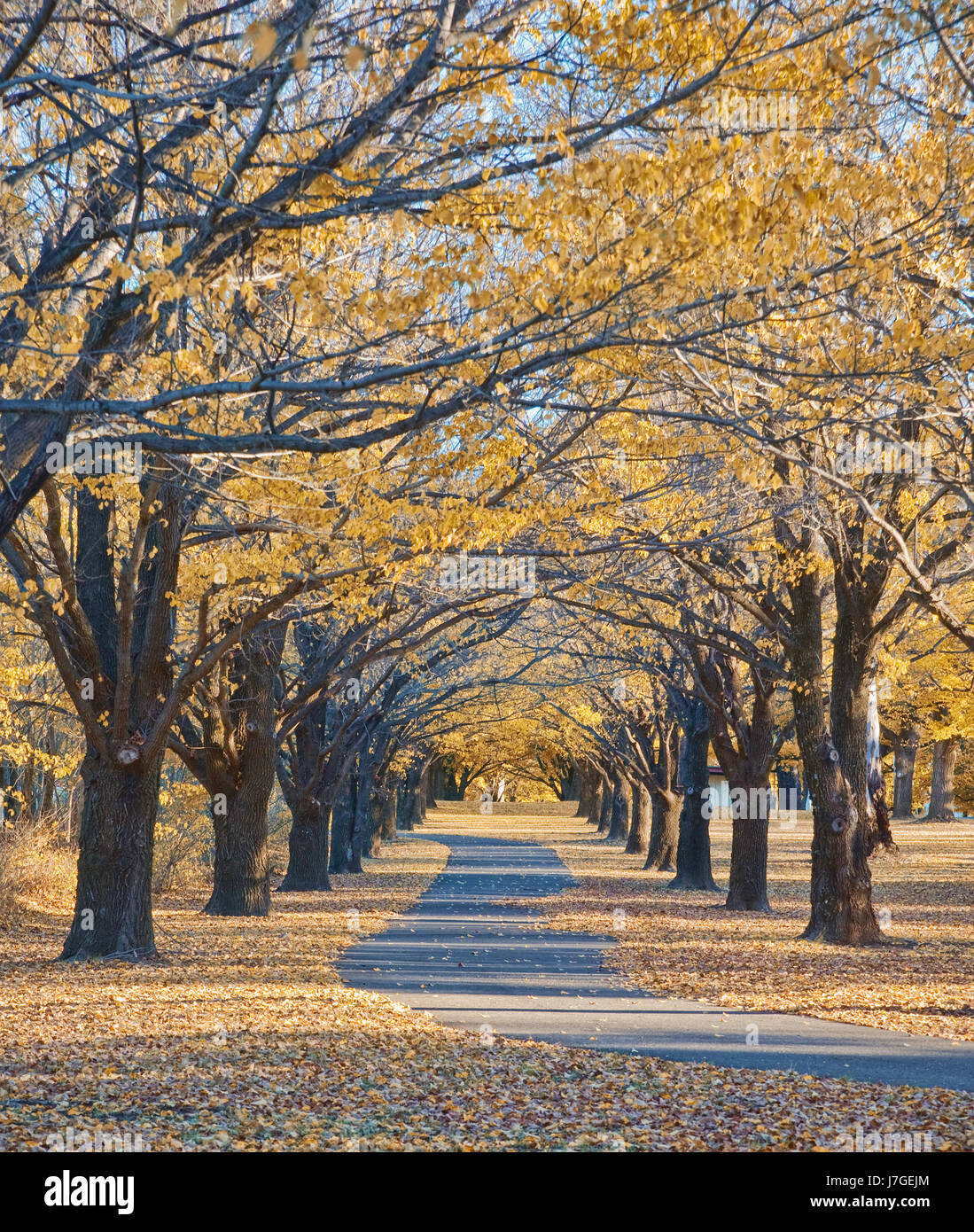 colour park coloured colourful gorgeous multifarious richly coloured ...