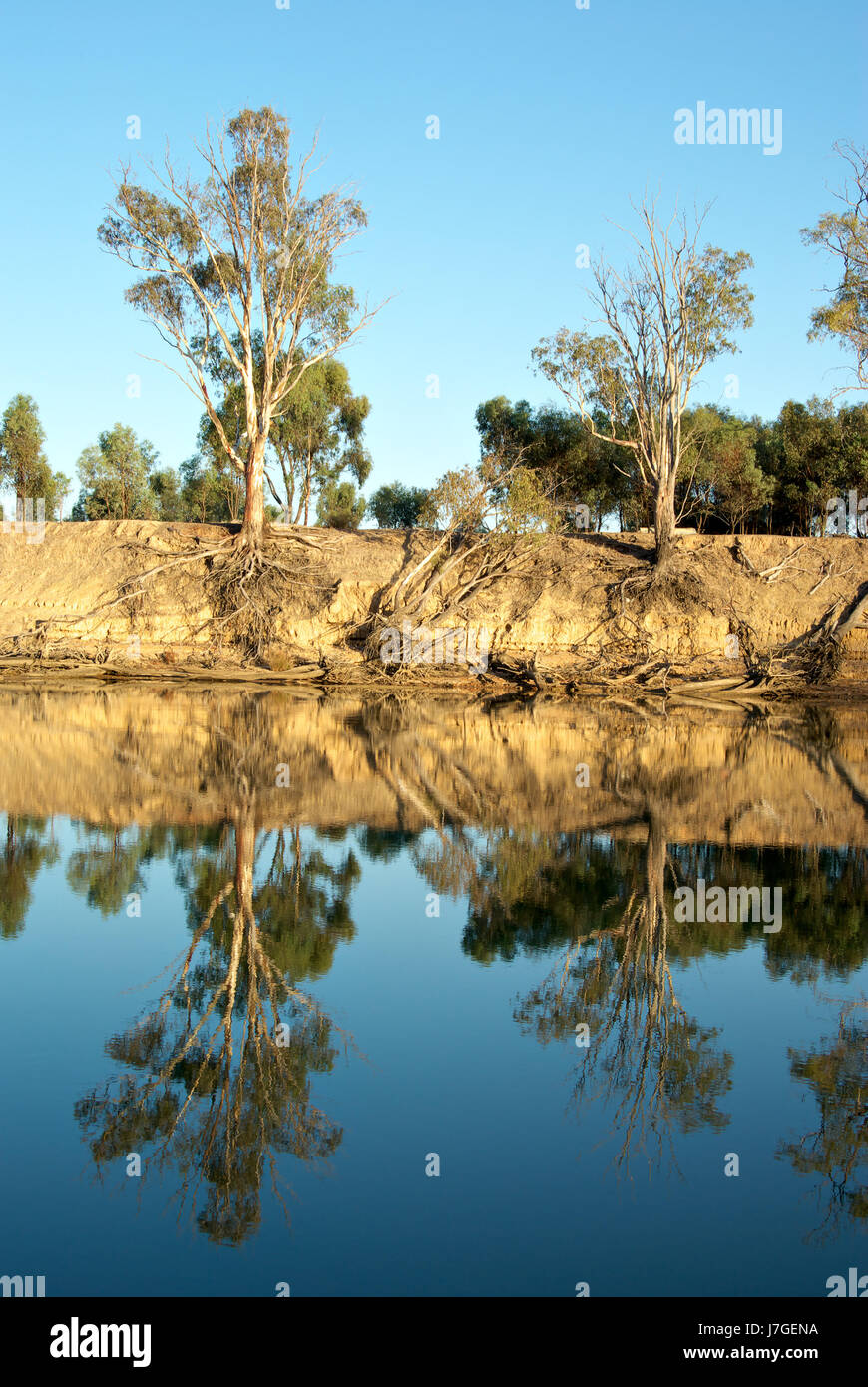 house building environment enviroment tree trees wood reflection photo ...