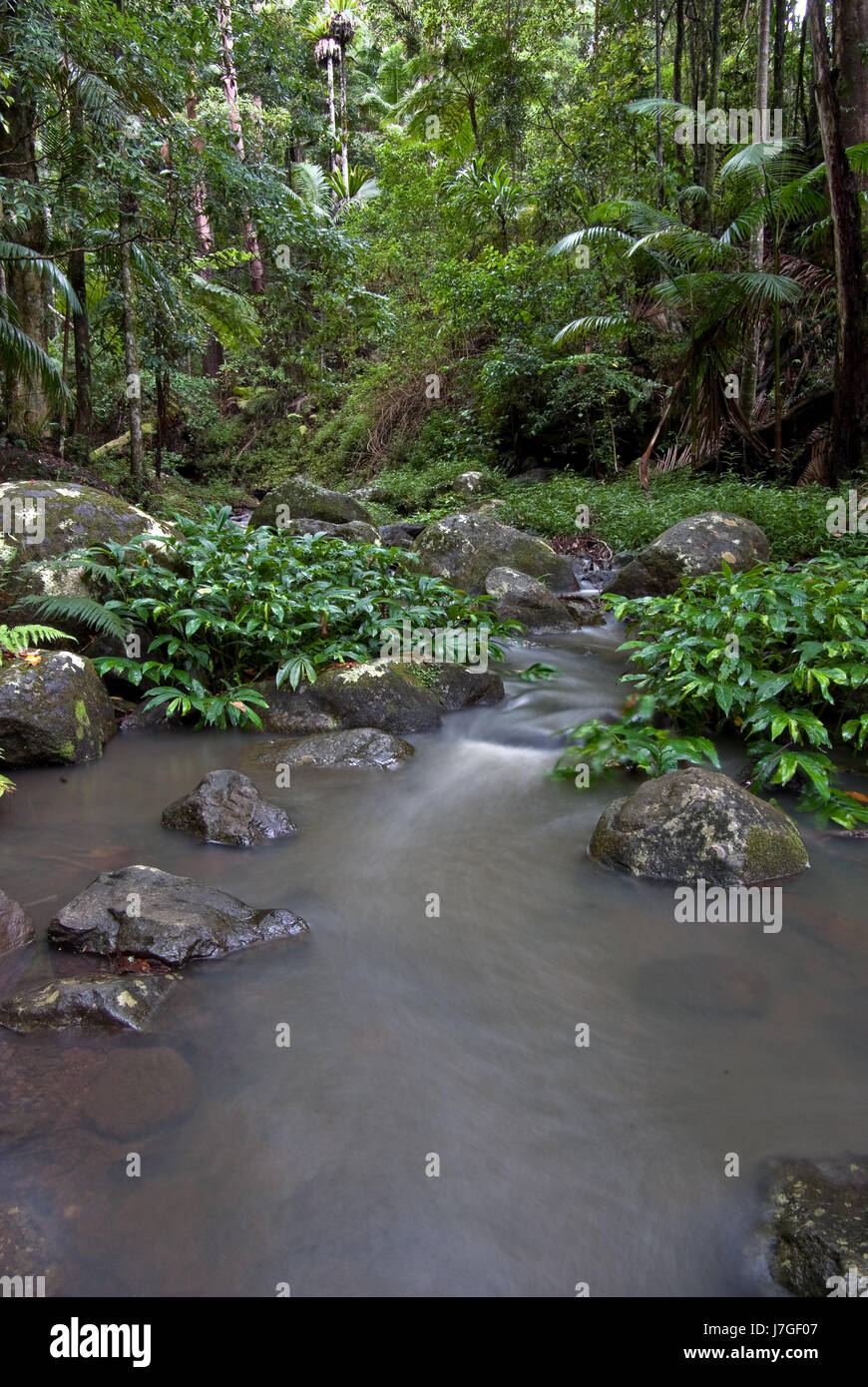 environment enviroment flow park wild stream photo camera wet ...