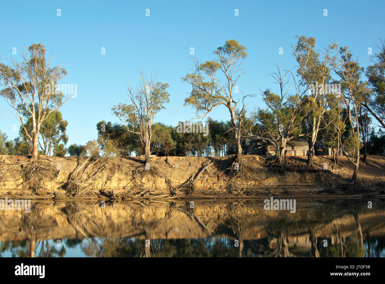 house building environment enviroment tree trees wood reflection photo ...