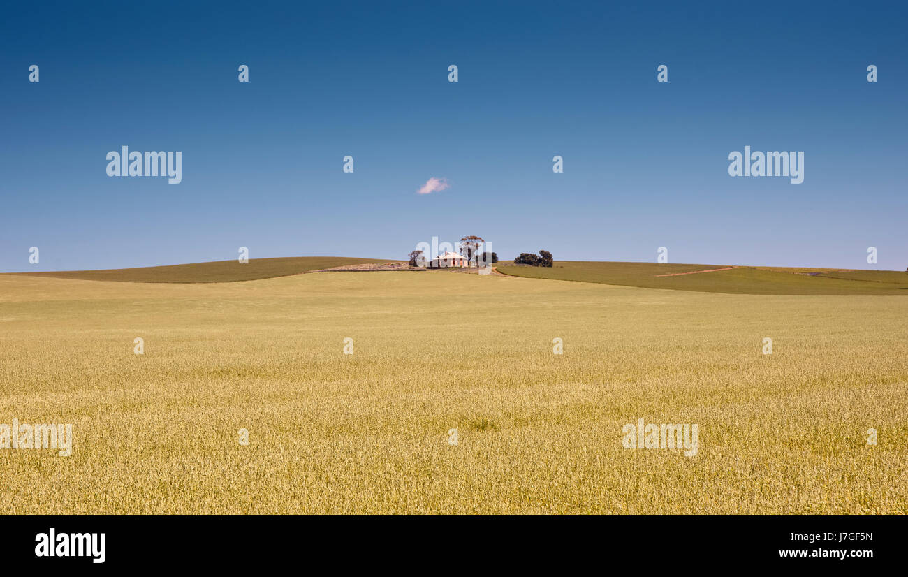 house building agriculture farming field ruins wheat farm farmhouse rye ...