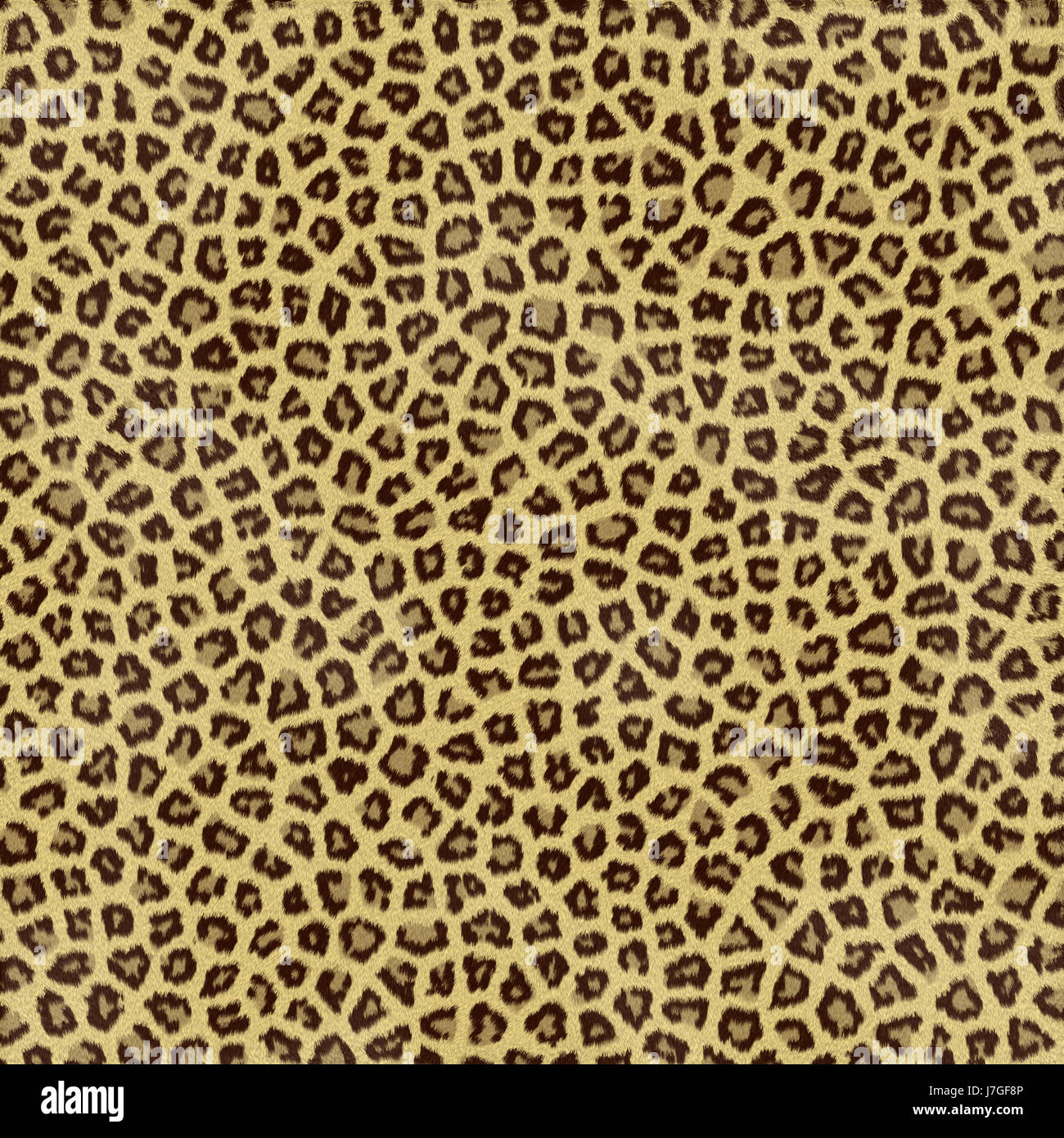 animal skin big cat feline predator fur illustration spotted cat ...