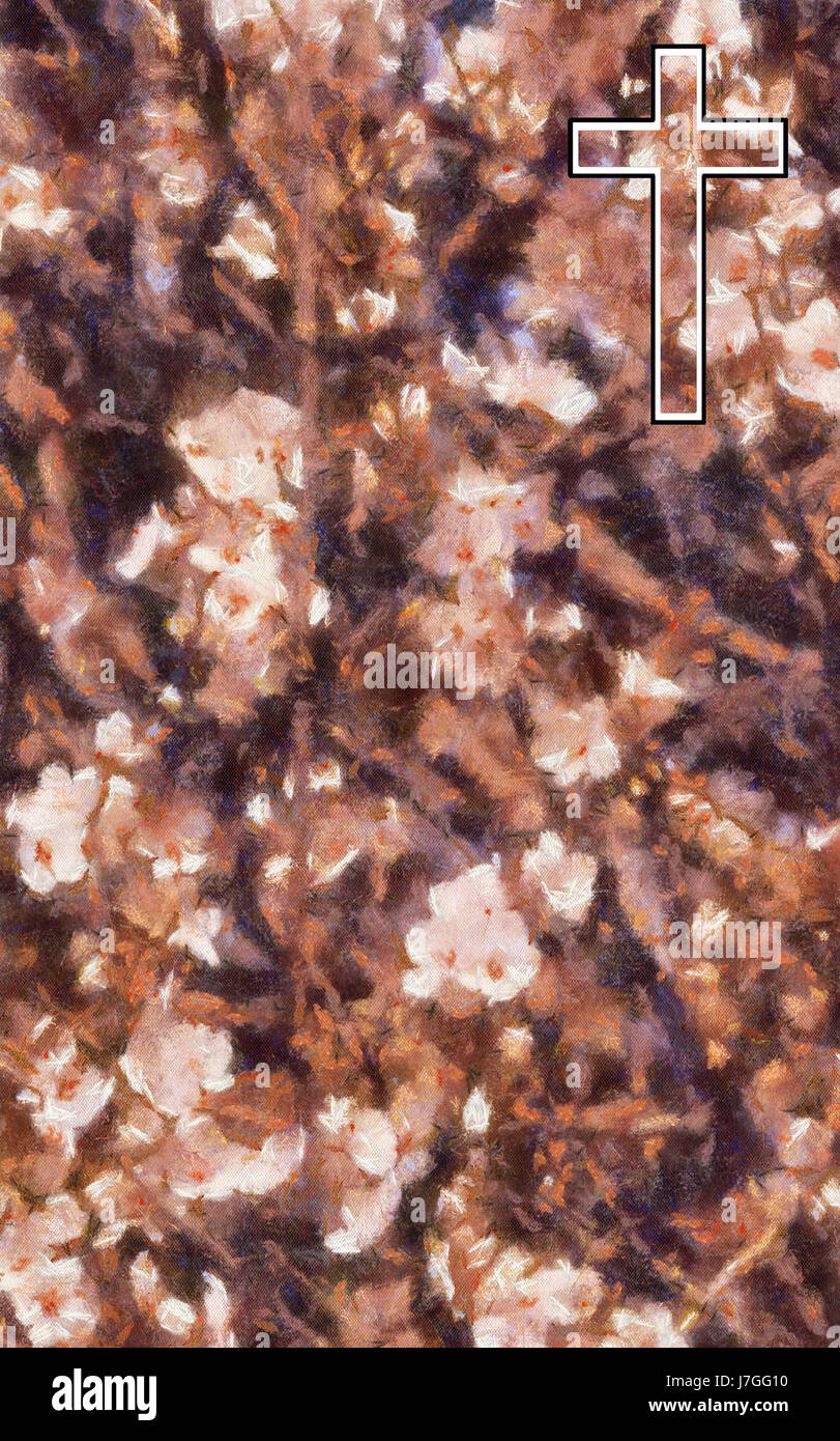 bloom blossom flourish flourishing cross christian crucifixion peach ...