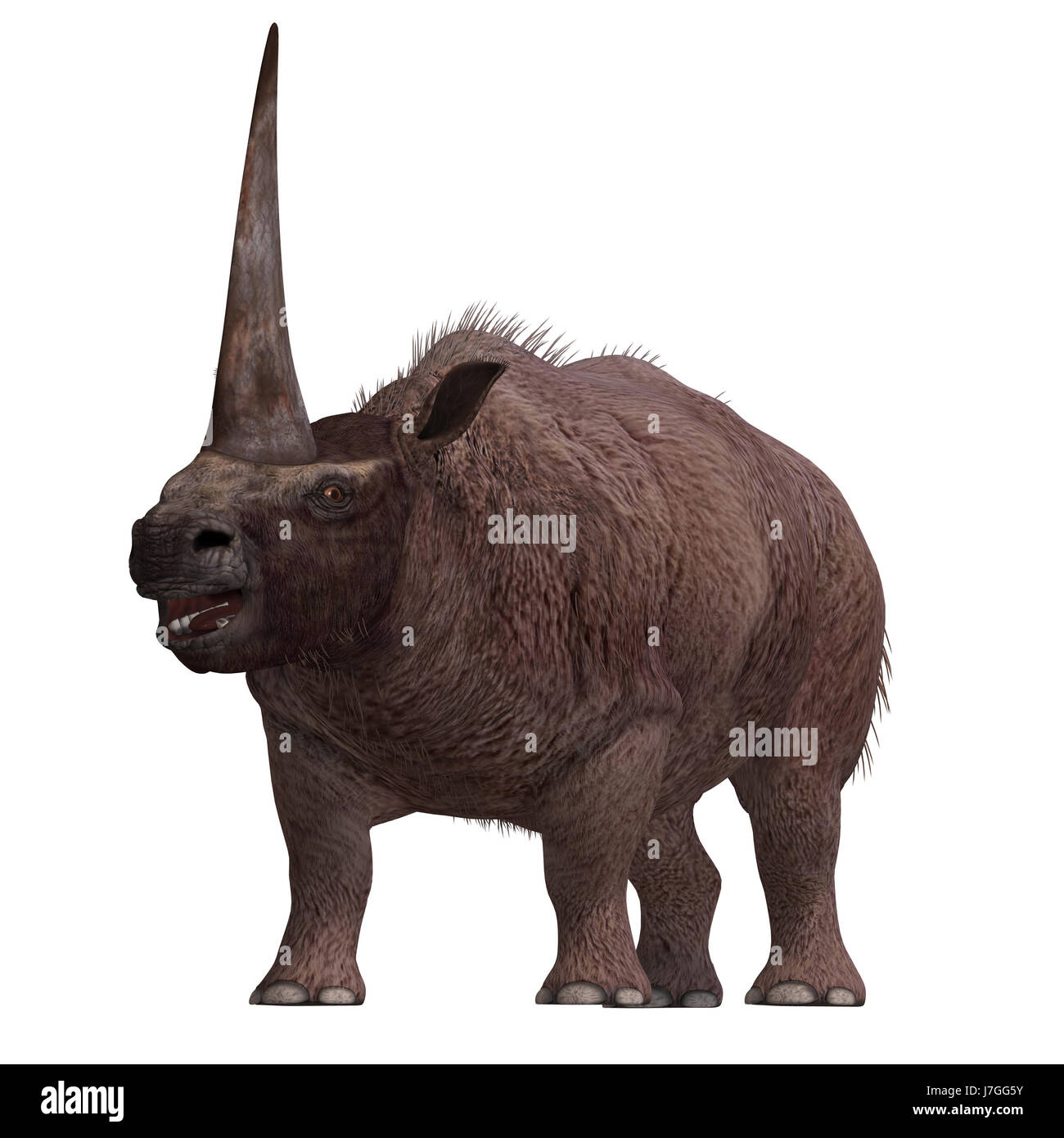Plesiosauria hi-res stock photography and images - Alamy