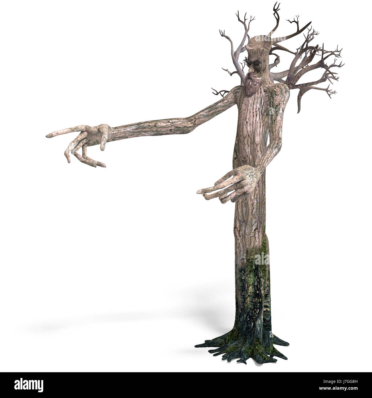 indicate show object story tree wood trunk flora guard watchdog fantasy ...