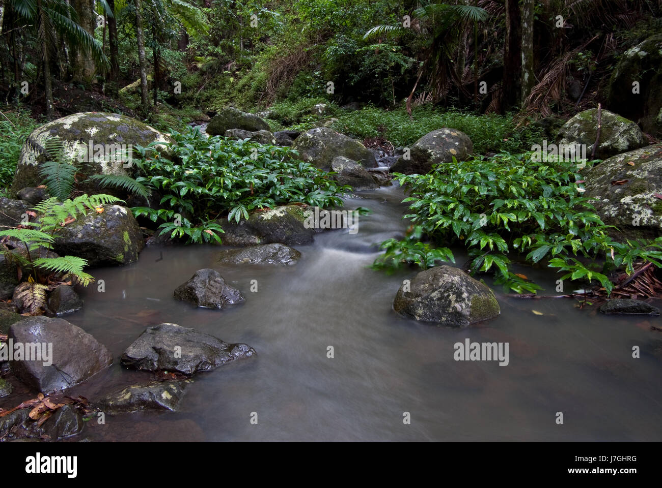 environment enviroment flow park wild stream photo camera wet ...