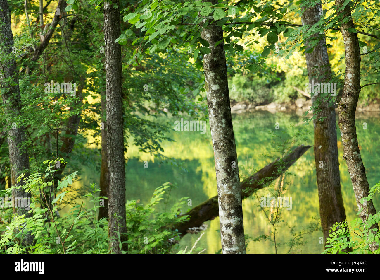 Remote Kolpa/Kupa river valley between Croatia and Slovenia Stock Photo ...
