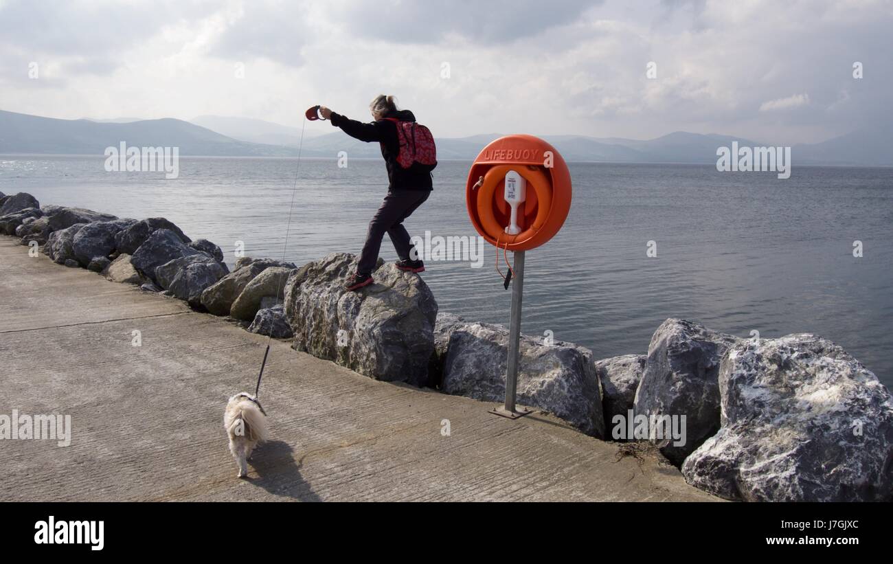 Dog hopping hi-res stock photography and images - Alamy
