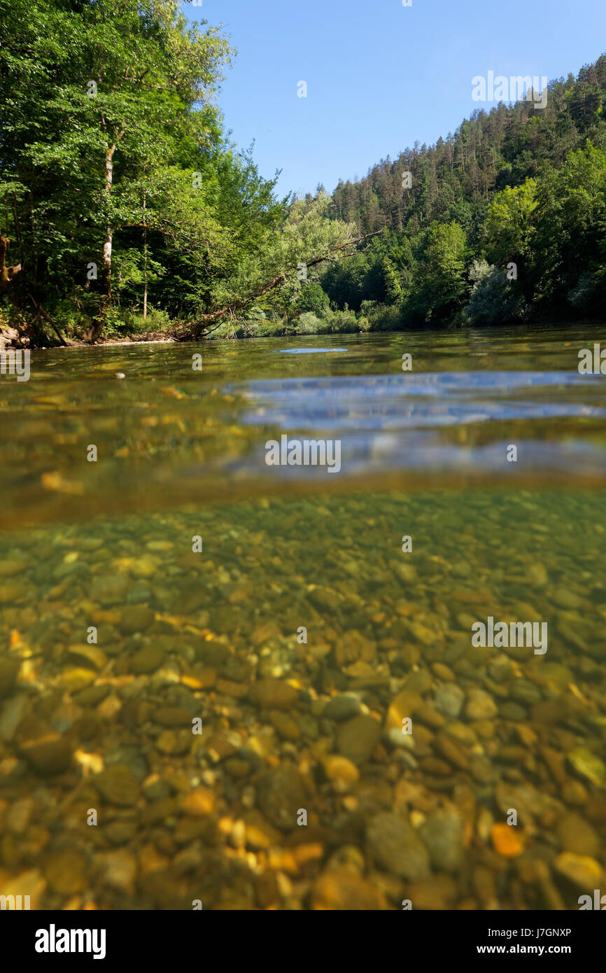 Underwater view of the Kolpa / Kupa river between Croatia and Slovenia ...