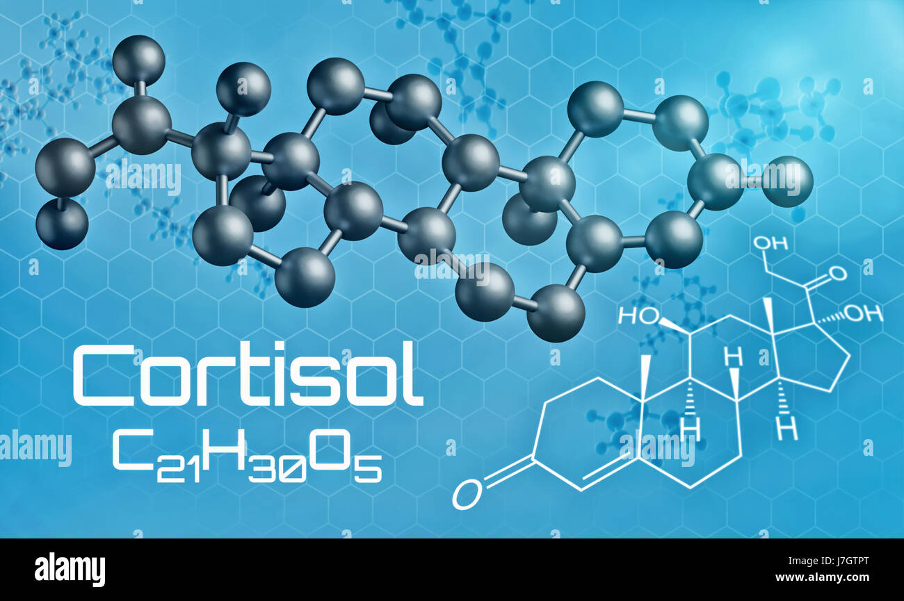Three-dimensional molecular model of Cortisol - 3d render Stock Photo ...