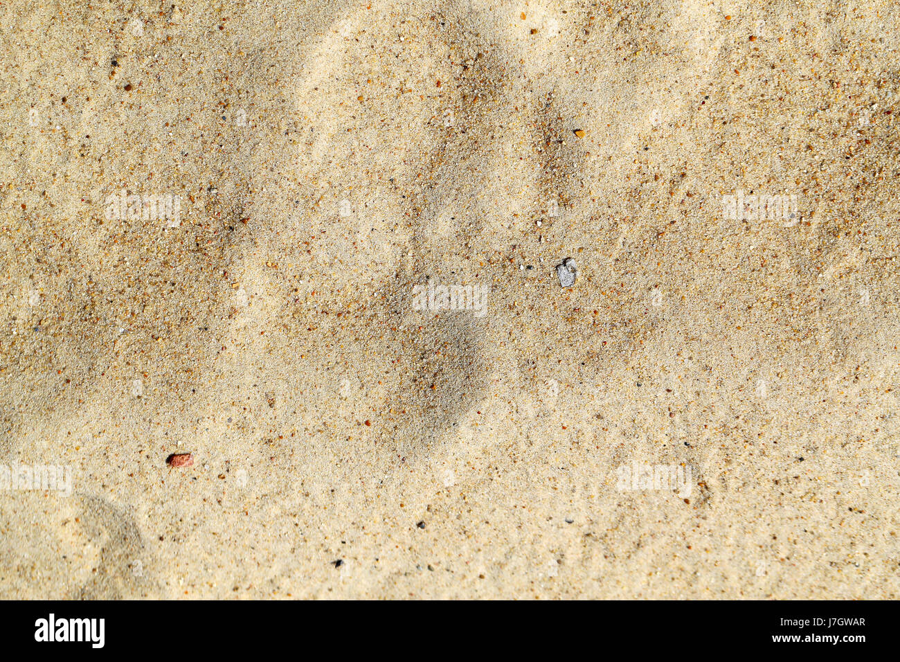 Beautiful yellow sand on the beach to photograph closeup Stock Photo ...