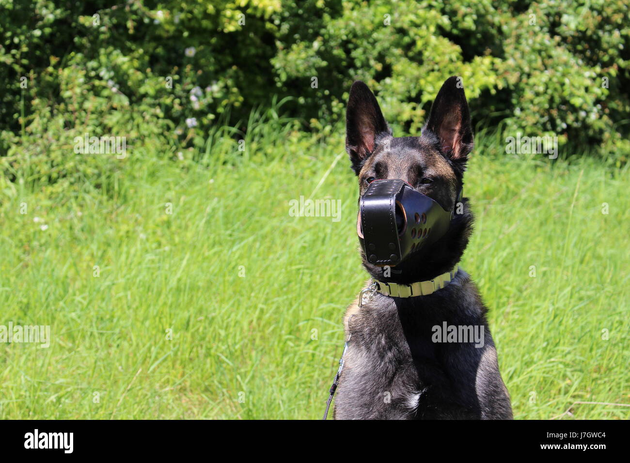 Belgian gendarmerie hi-res stock photography and images - Alamy