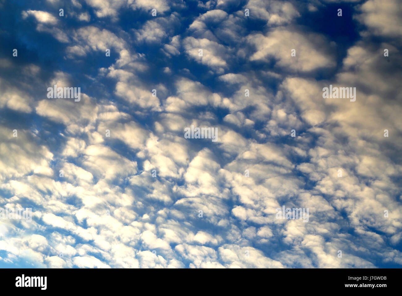 Beautiful photo with large white clouds on a blue sky Stock Photo - Alamy
