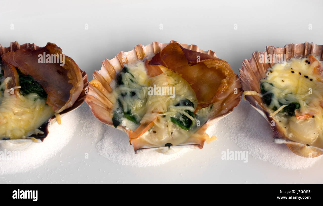 restaurant food aliment salt isolated closeup shell kitchen cuisine ...