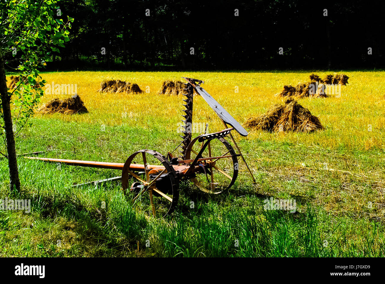 Roman Ploughing Stock Photo - Alamy 063