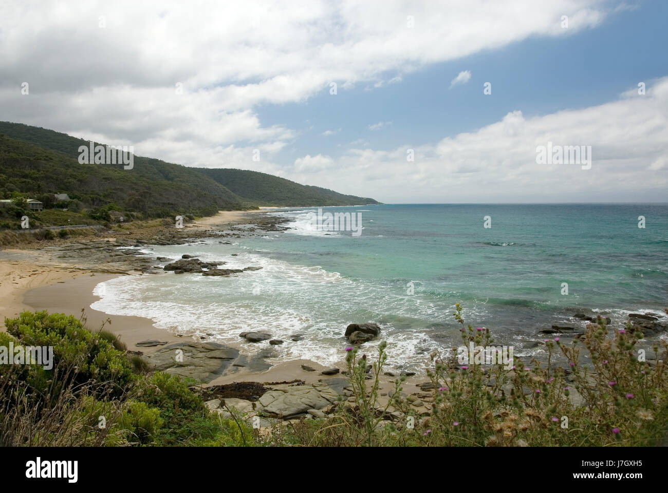 blue green beach seaside the beach seashore waves bushes australia foam ...