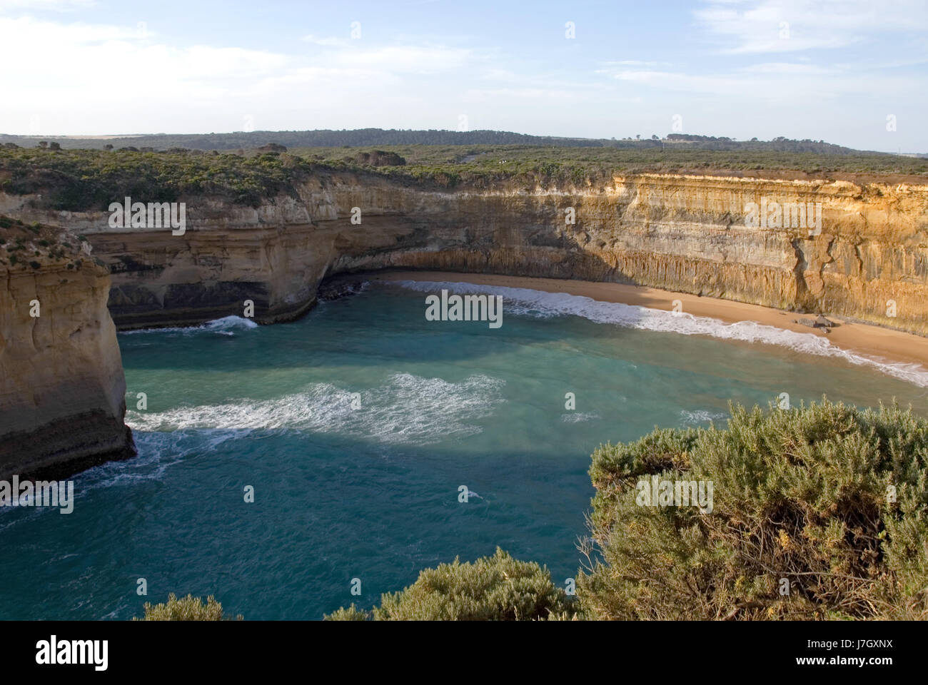 beach seaside the beach seashore waves bushes australia foam sight view ...