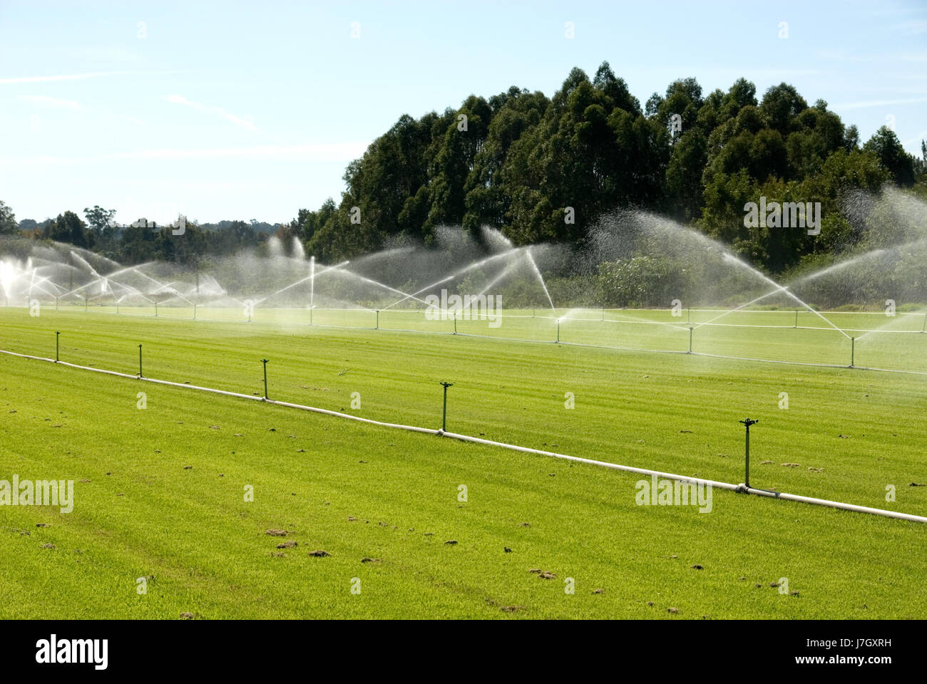 ground soil earth humus agriculture farming field wheels farm growth ...