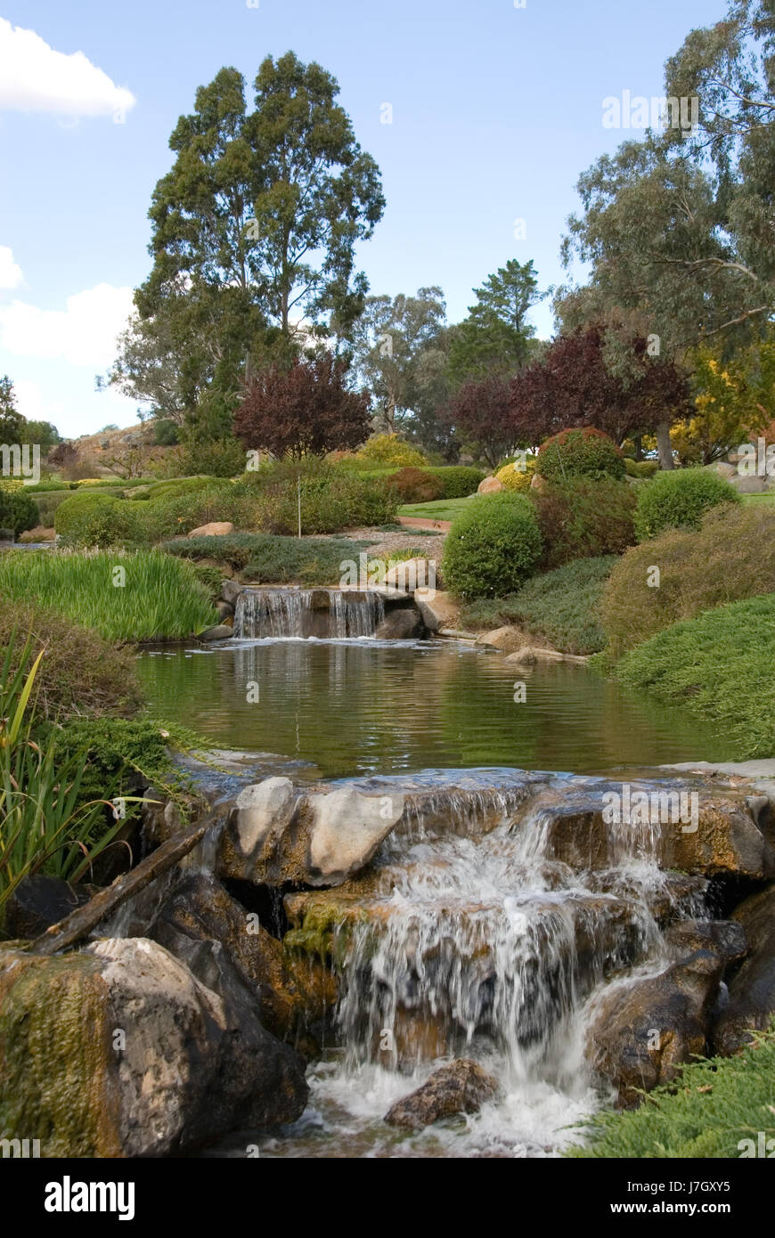 Feature plant garden hi-res stock photography and images - Alamy