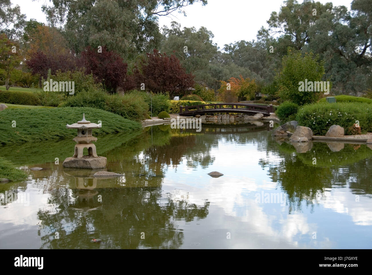 Inland flowers australia hi-res stock photography and images - Alamy