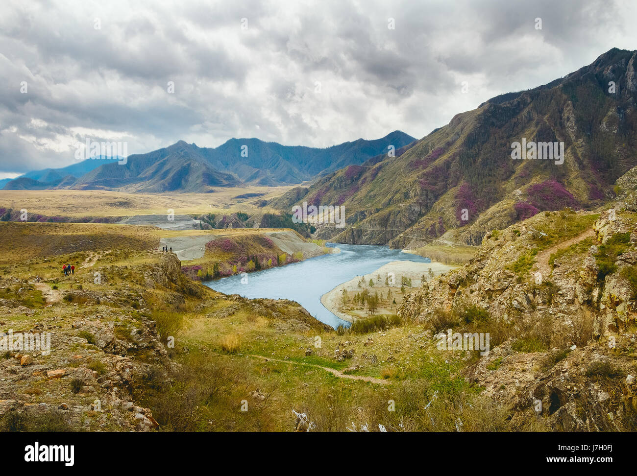 landscape with mountains, forest and a river in front. beautiful ...