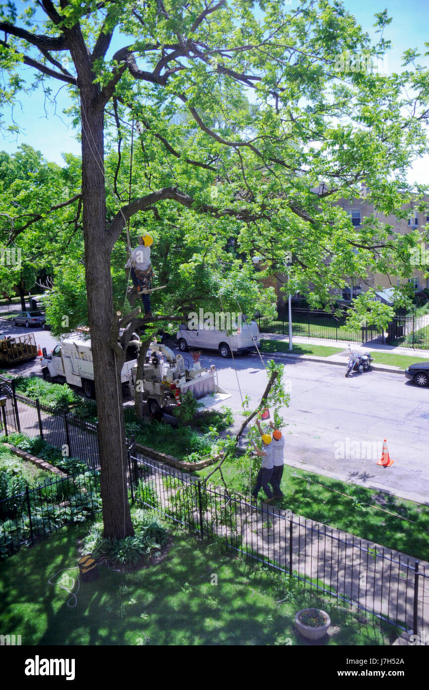 Shady Tree Stock Photos & Shady Tree Stock Images - Alamy