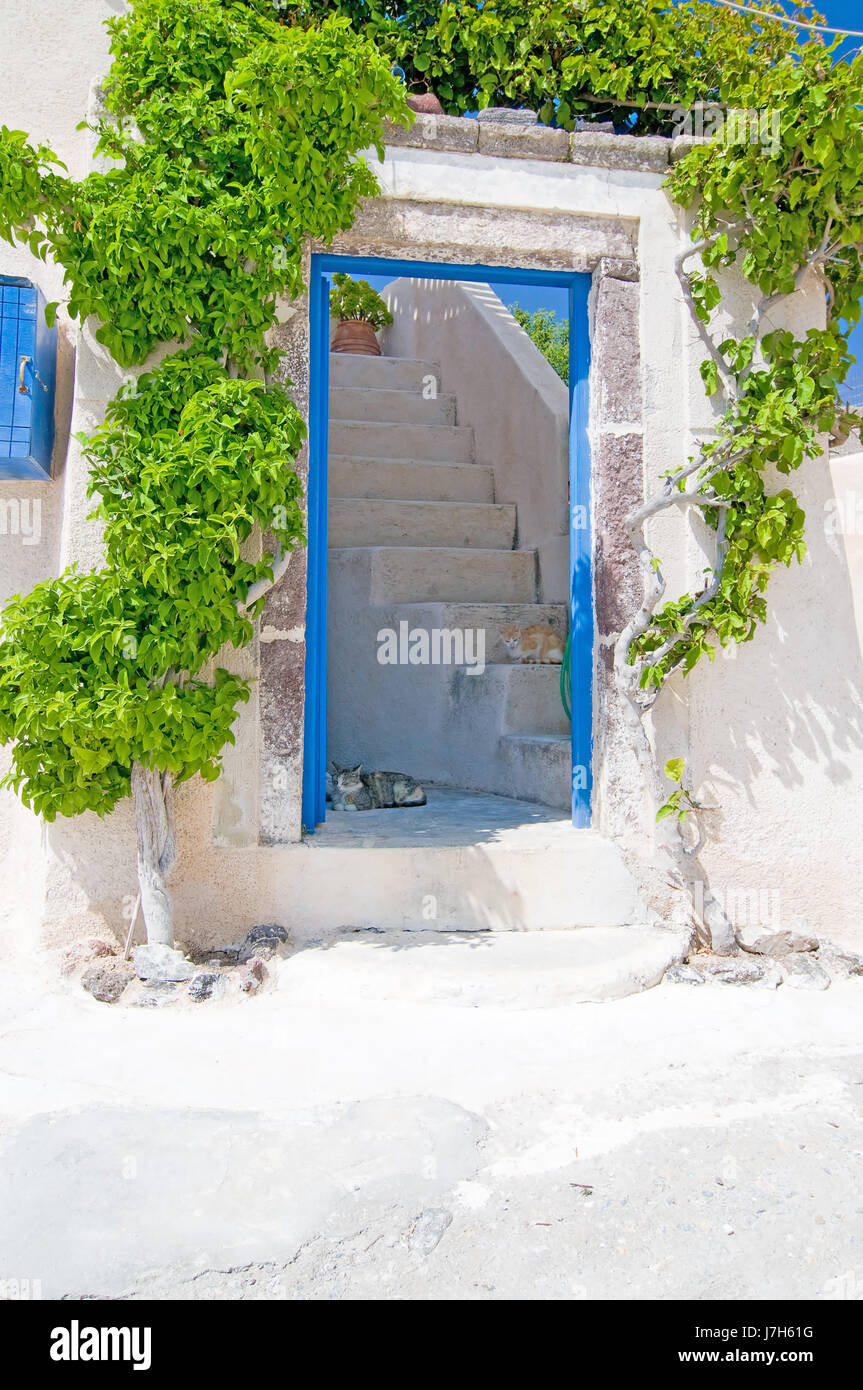 house building city town door traditional style of construction ...