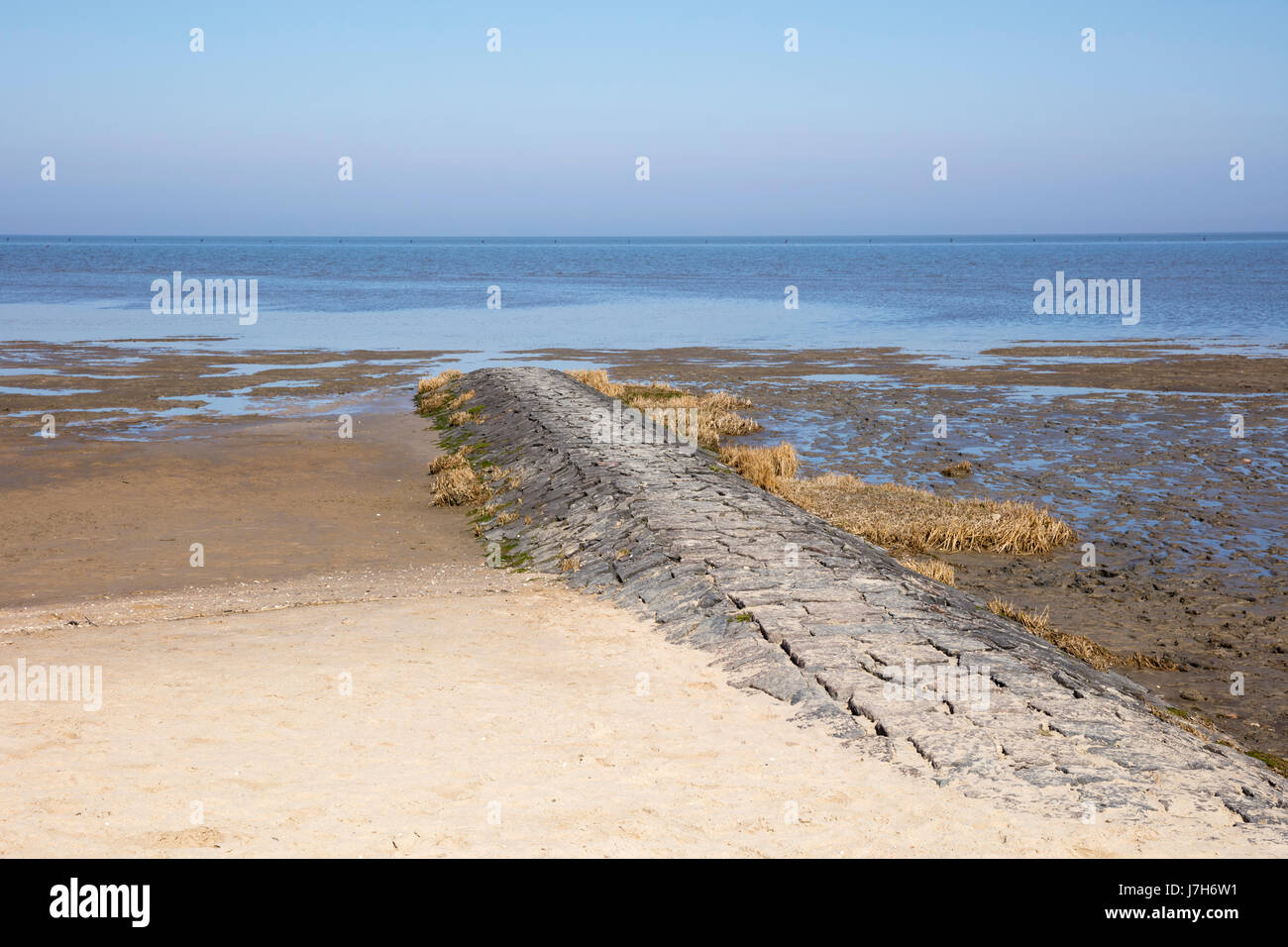 Panorama surface hi-res stock photography and images - Alamy