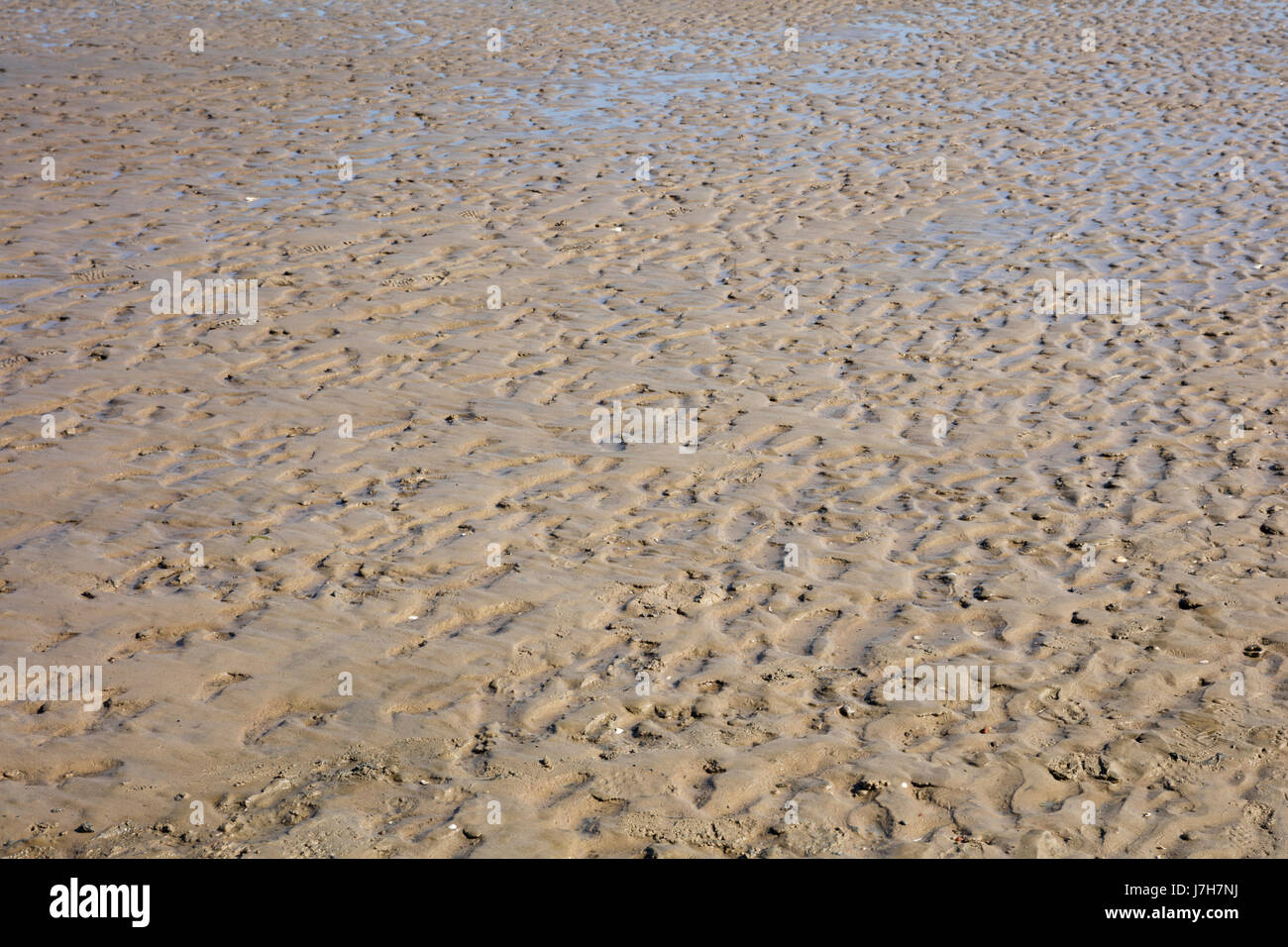 Surface of the north sea Stock Photo - Alamy