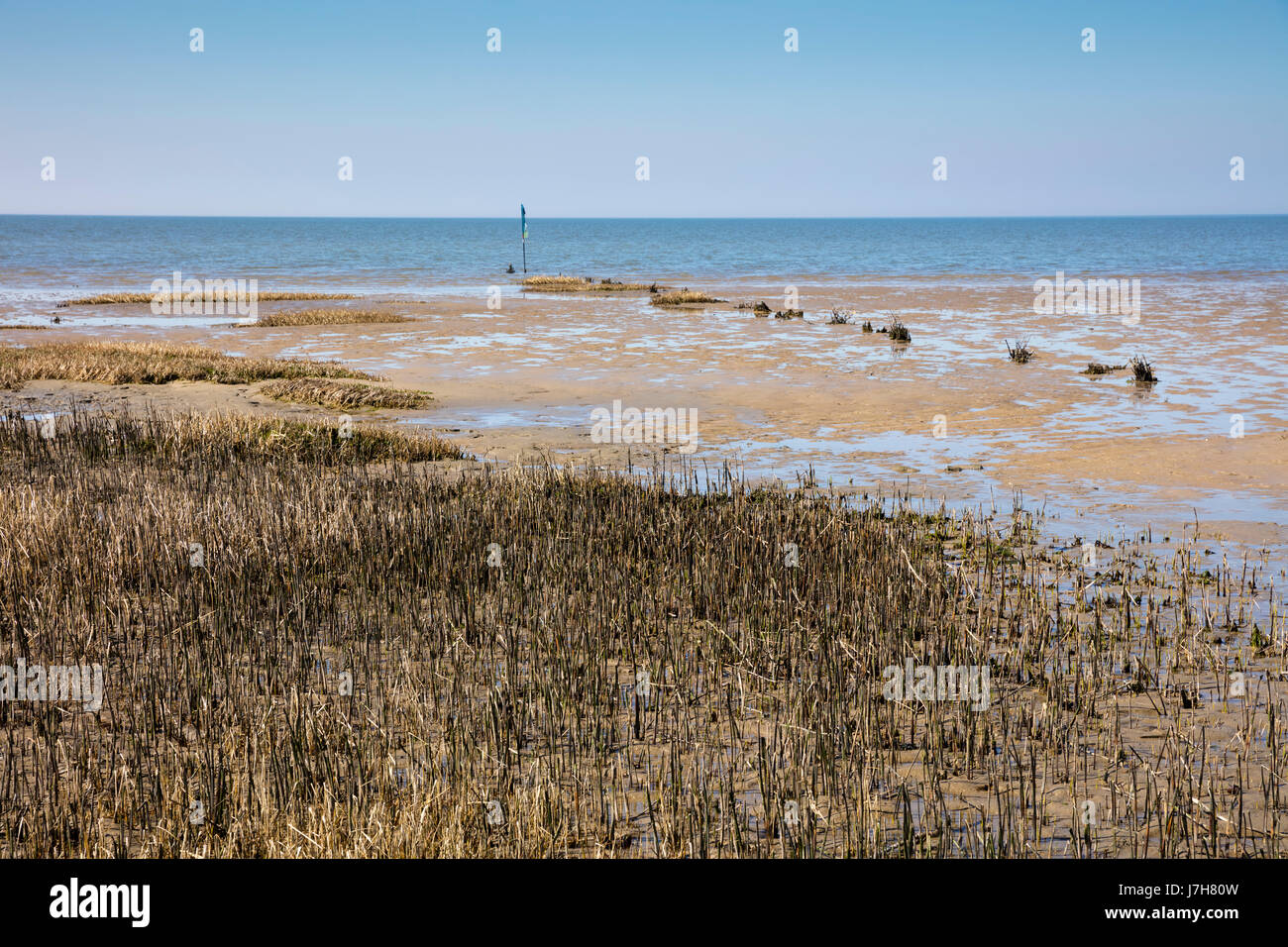 Surface of the north sea Stock Photo - Alamy