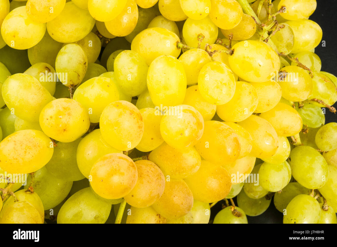 Large grapes cluster amber color on black background Stock Photo - Alamy