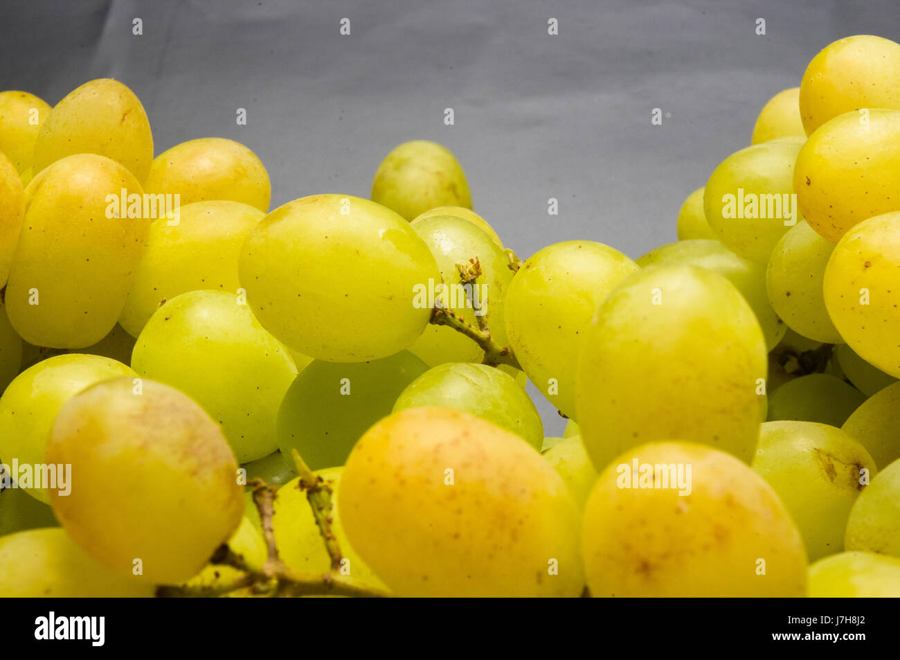 Large grapes cluster amber color on black background Stock Photo - Alamy