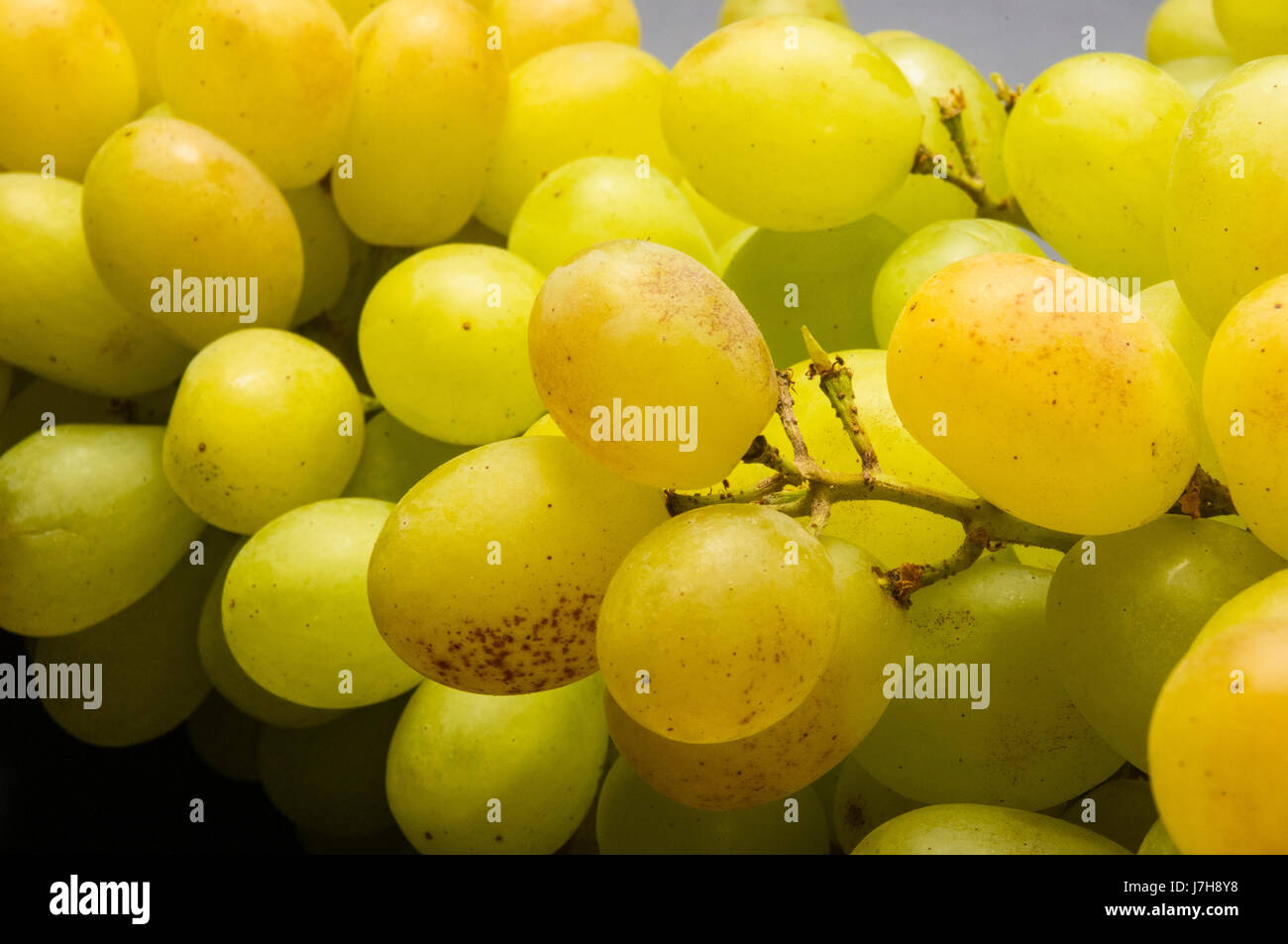 Large grapes cluster amber color on black background Stock Photo - Alamy