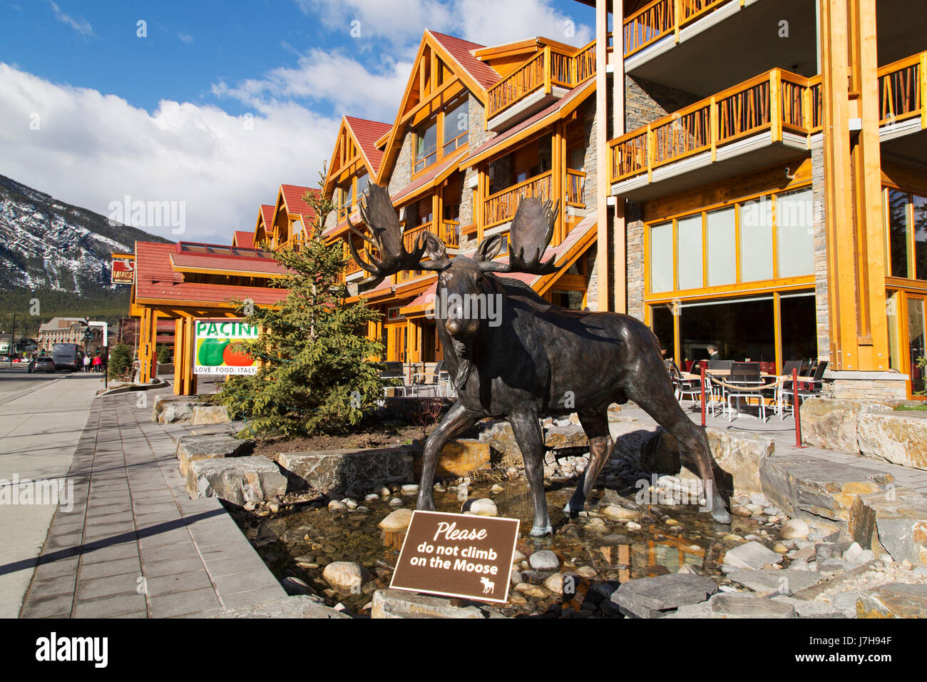 Moose statue hi-res stock photography and images - Alamy