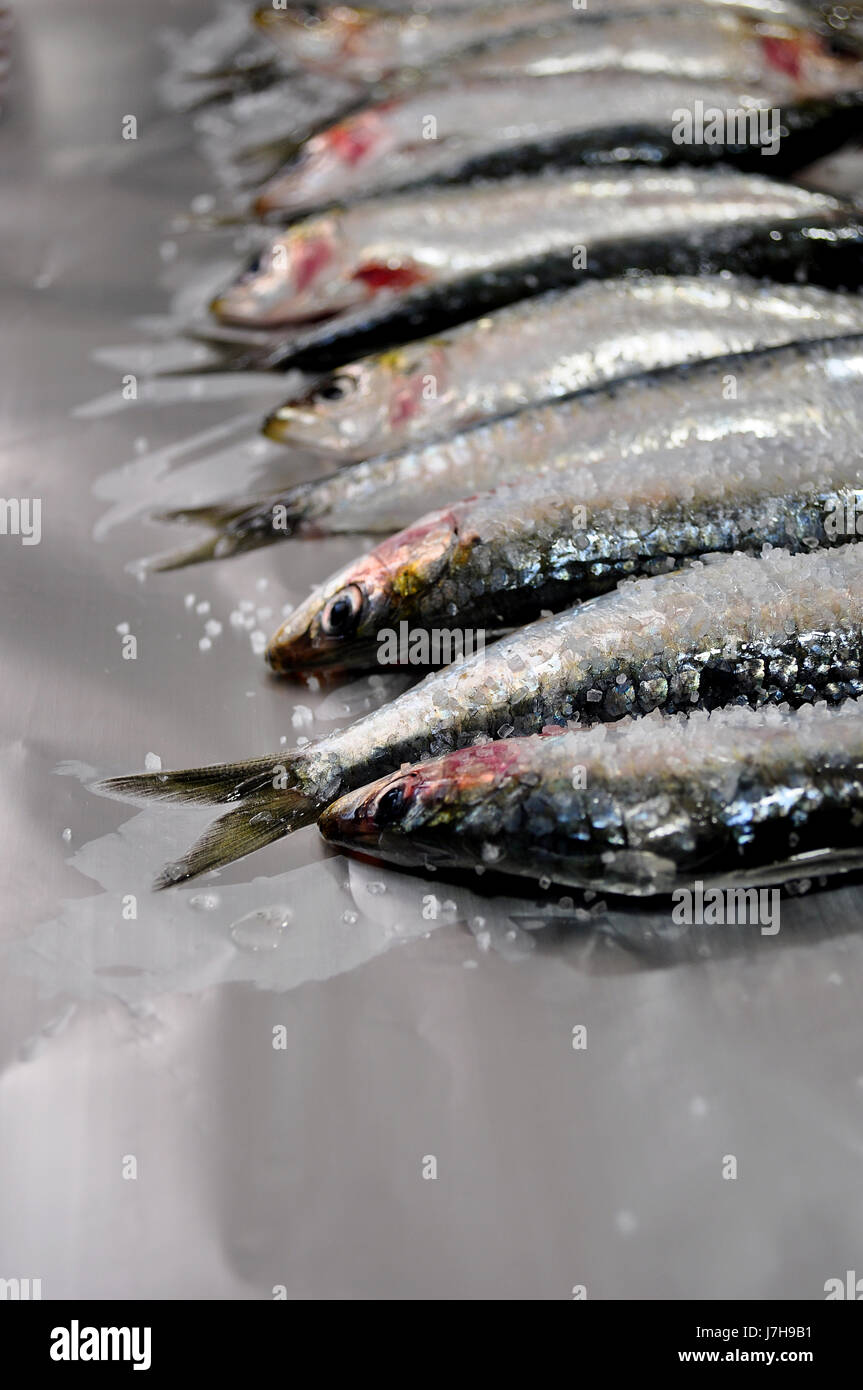 Fresh sardines with salt Stock Photo - Alamy