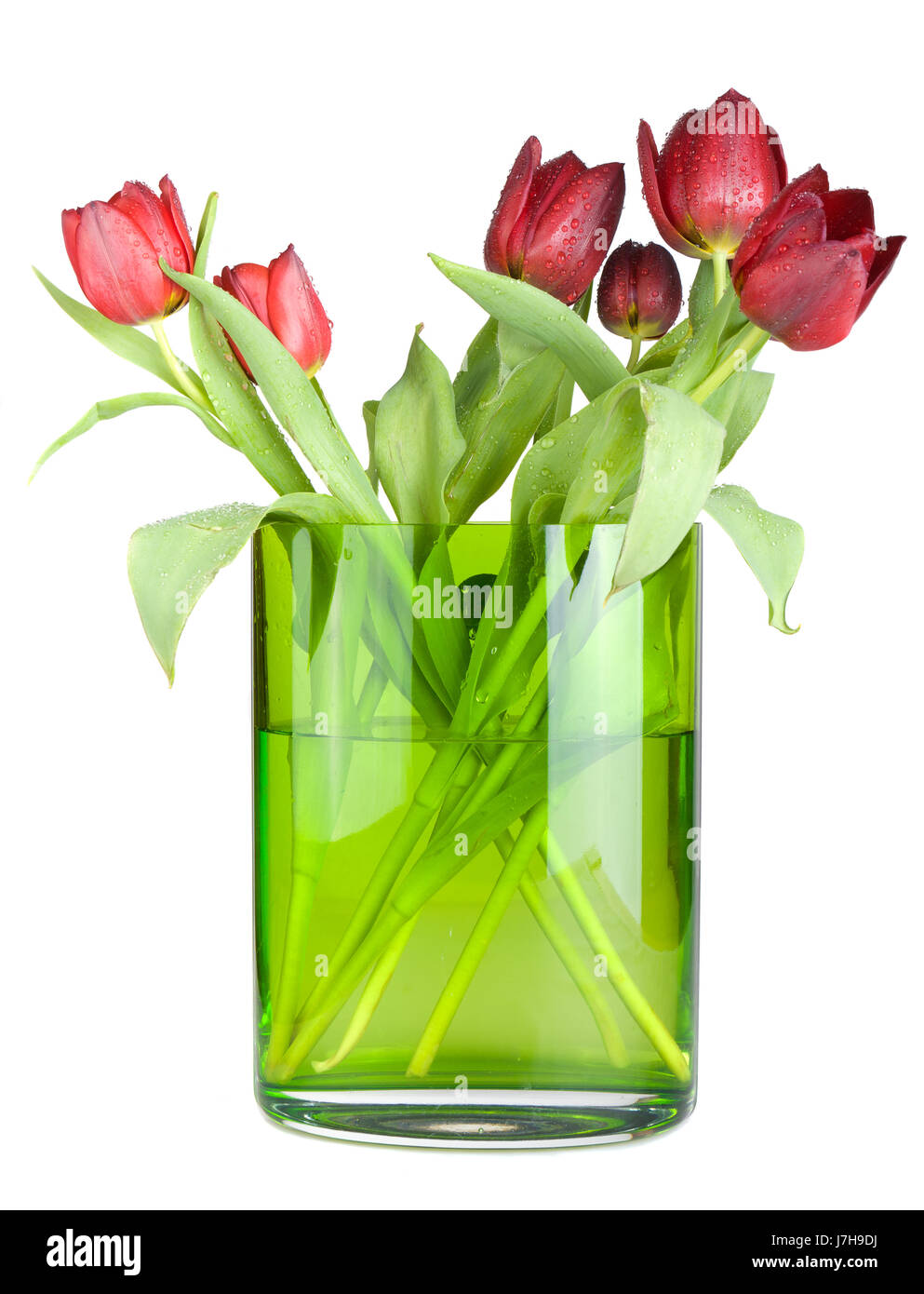 Selective color flower picture Cut Out Stock Images & Pictures - Alamy