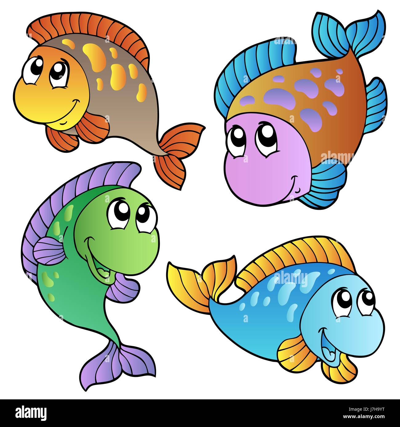 animal animals fish four wildlife fishes nature laugh laughs laughing ...