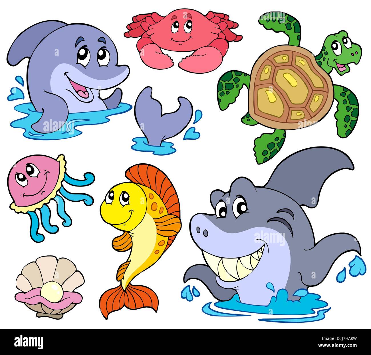 animal animals dolphin crab turtle crustacean jellyfish tortoise laugh ...