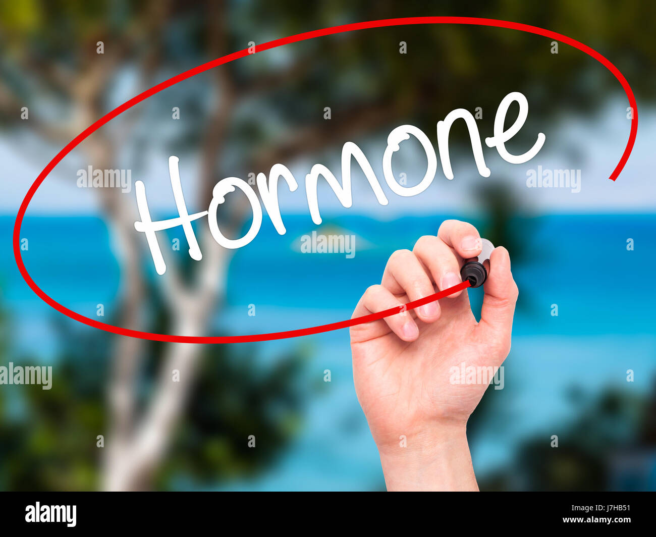 Man Hand writing Hormone with black marker on visual screen. Isolated ...