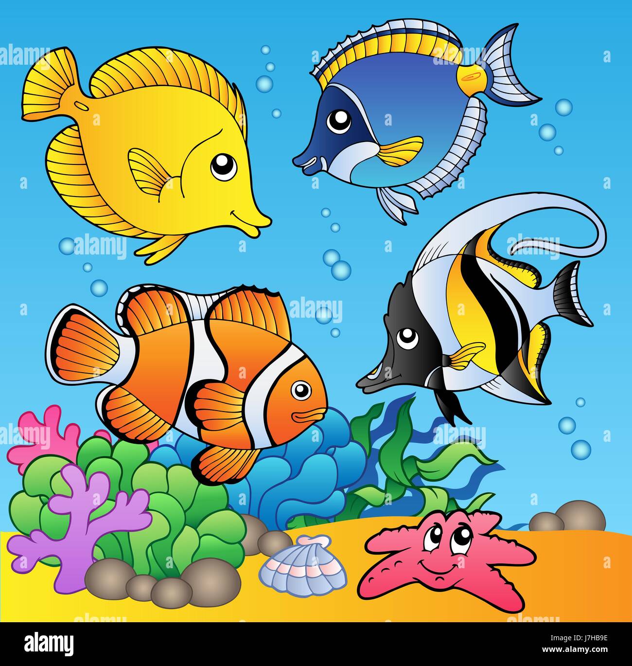animal fauna animals fish wildlife fishes specie nature laugh laughs ...