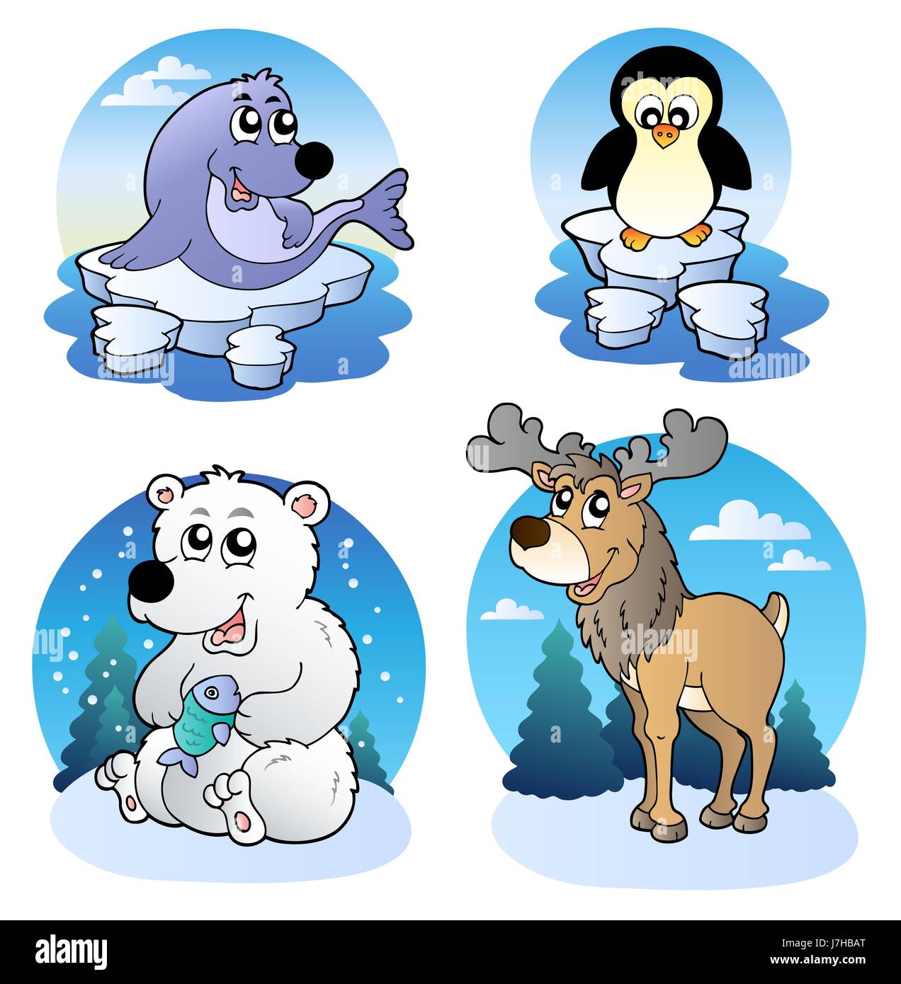 winter animal fauna wild animals specie nature environment enviroment ...