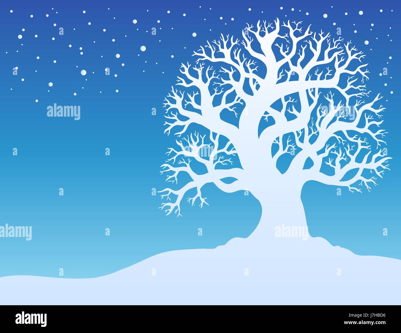 tree winter wintry season plant nature natural single environment ...